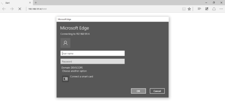 BAM-Portal-Microsoft-Edge-authentication.png – SANDRO PEREIRA BIZTALK BLOG